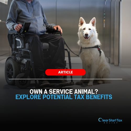Exploring Tax Benefits for Owning a Service Animal